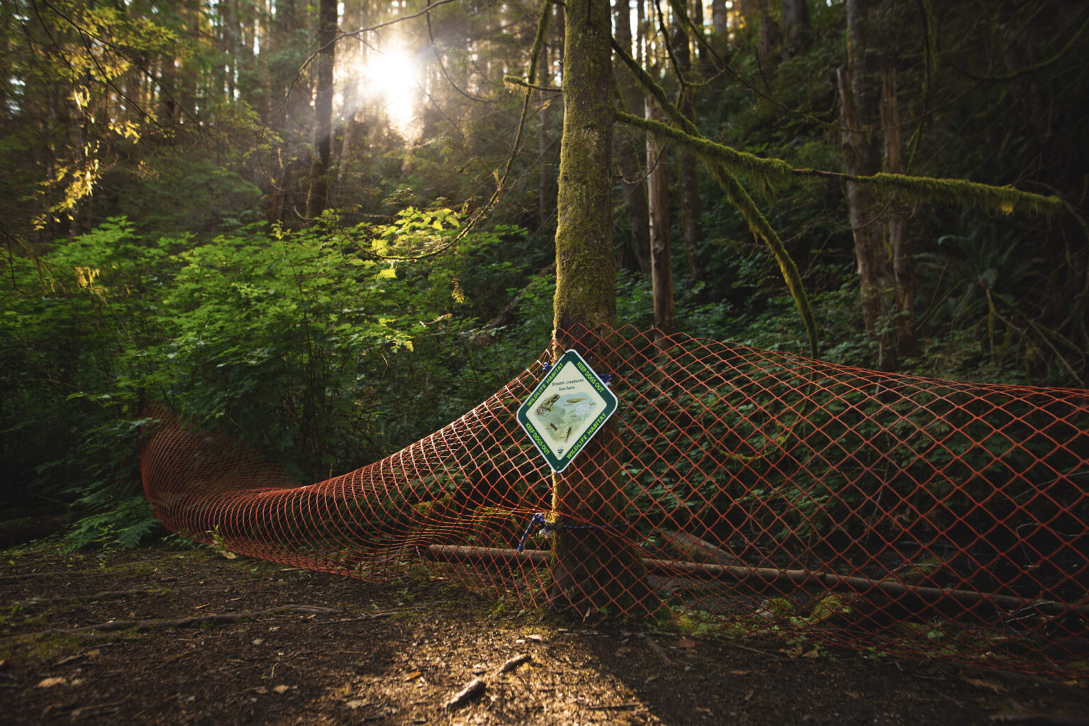 Park Projects - REEL Earth Day Challenge